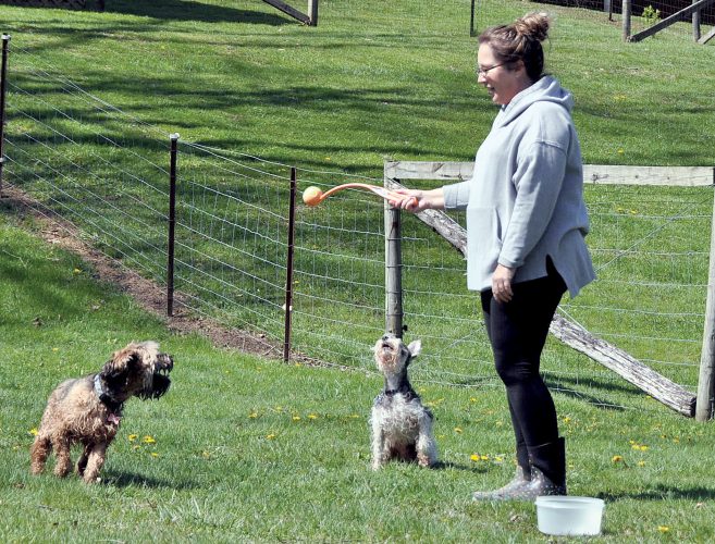 Having a ‘Fetching’ Good Time | News, Sports, Jobs - The Intermountain